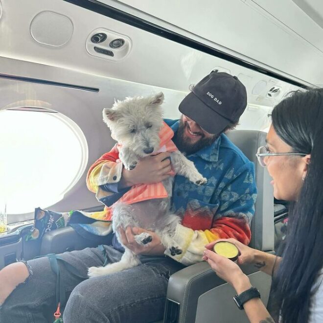 BARK Air, The First Airline Designed for the Comfort of Dogs - Nation Post