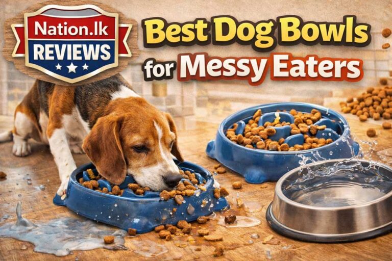 Best Dog Bowls for Messy Eaters in 2026 - Nation Post