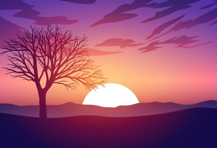 150+ Beautiful Good Evening Messages To Make Them Smile - Nation Wishes